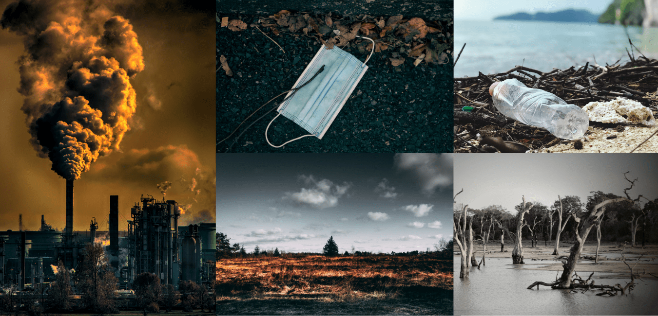 The Latest Environmental Stories from Around the World - Euros Journal