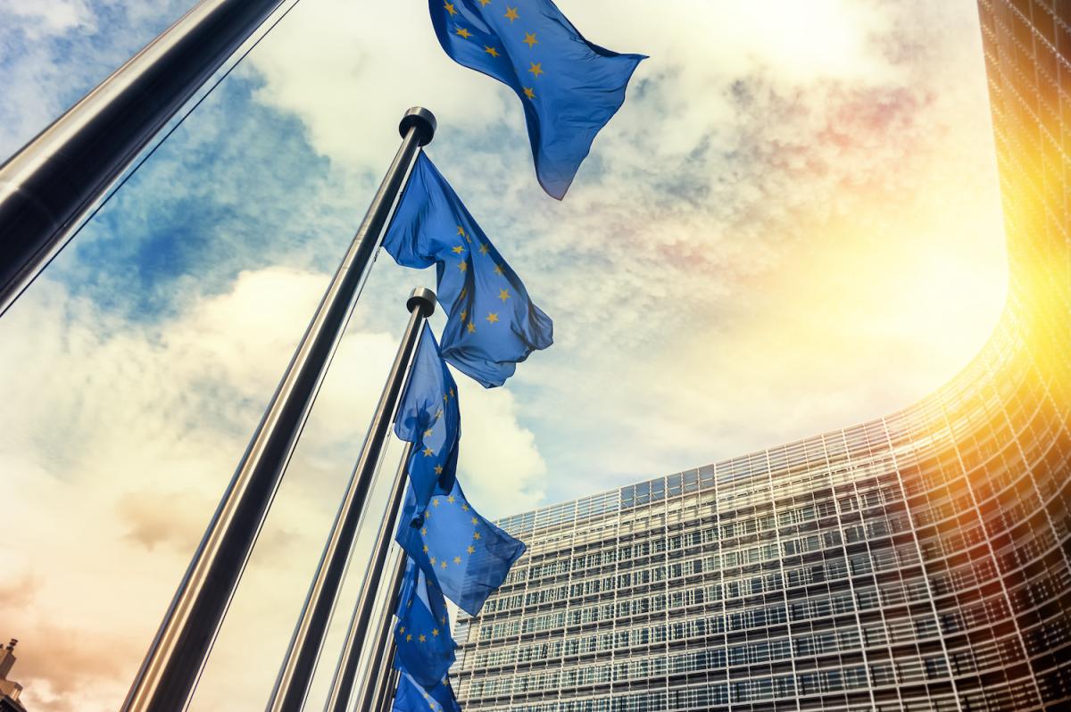 The Future of the European Union: Challenges, Reforms, and Enlargement ...